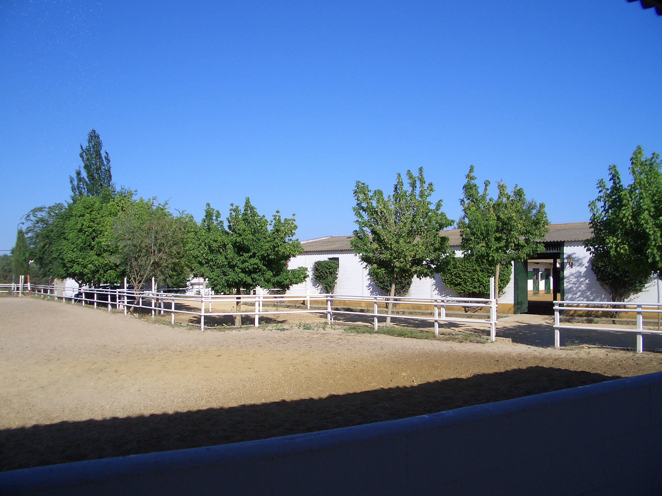 caballos pista exterior y entrada a boxes - Escuela de Equitación Al ...